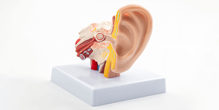 Jak leczyły nasze babcie, czyli domowe sposoby na ból ucha - Fonix.pl